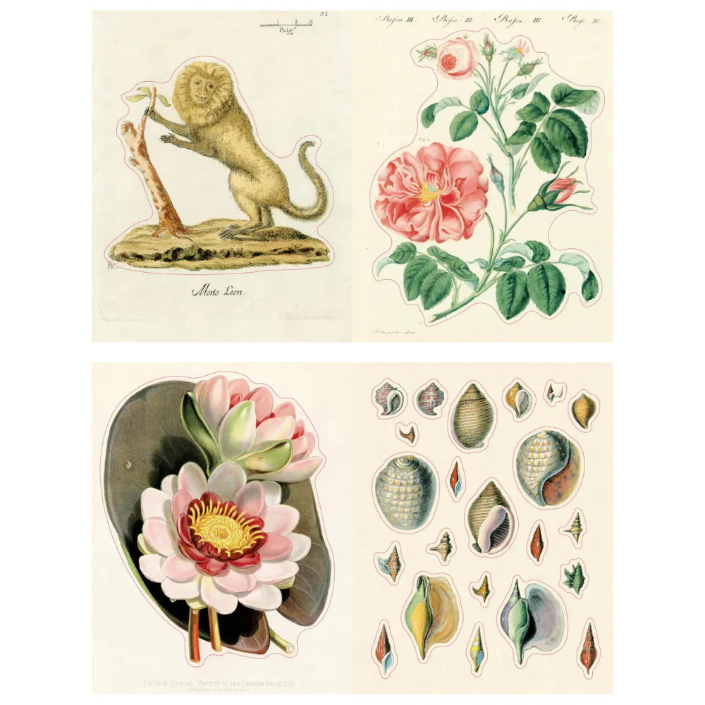 John Derian Sticker Book II – Dotter